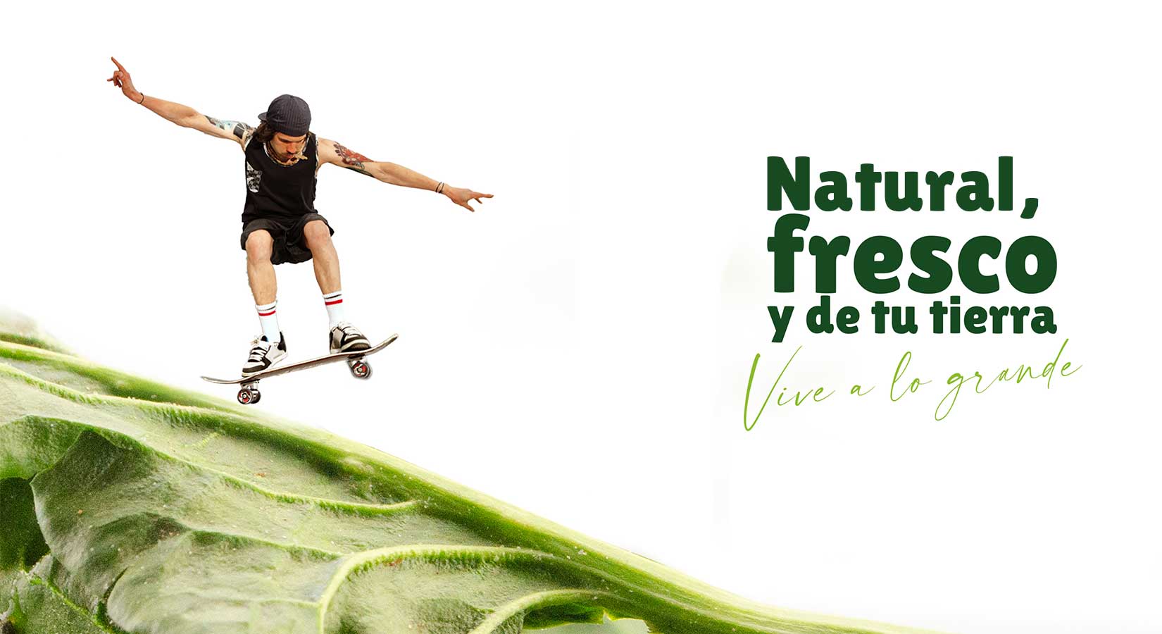 Comprar Fruta y Verdura Online en Valencia - Kobox