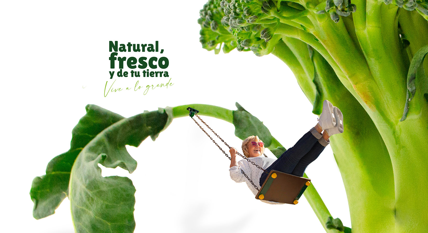 Comprar Fruta y Verdura Online en Valencia - Kobox