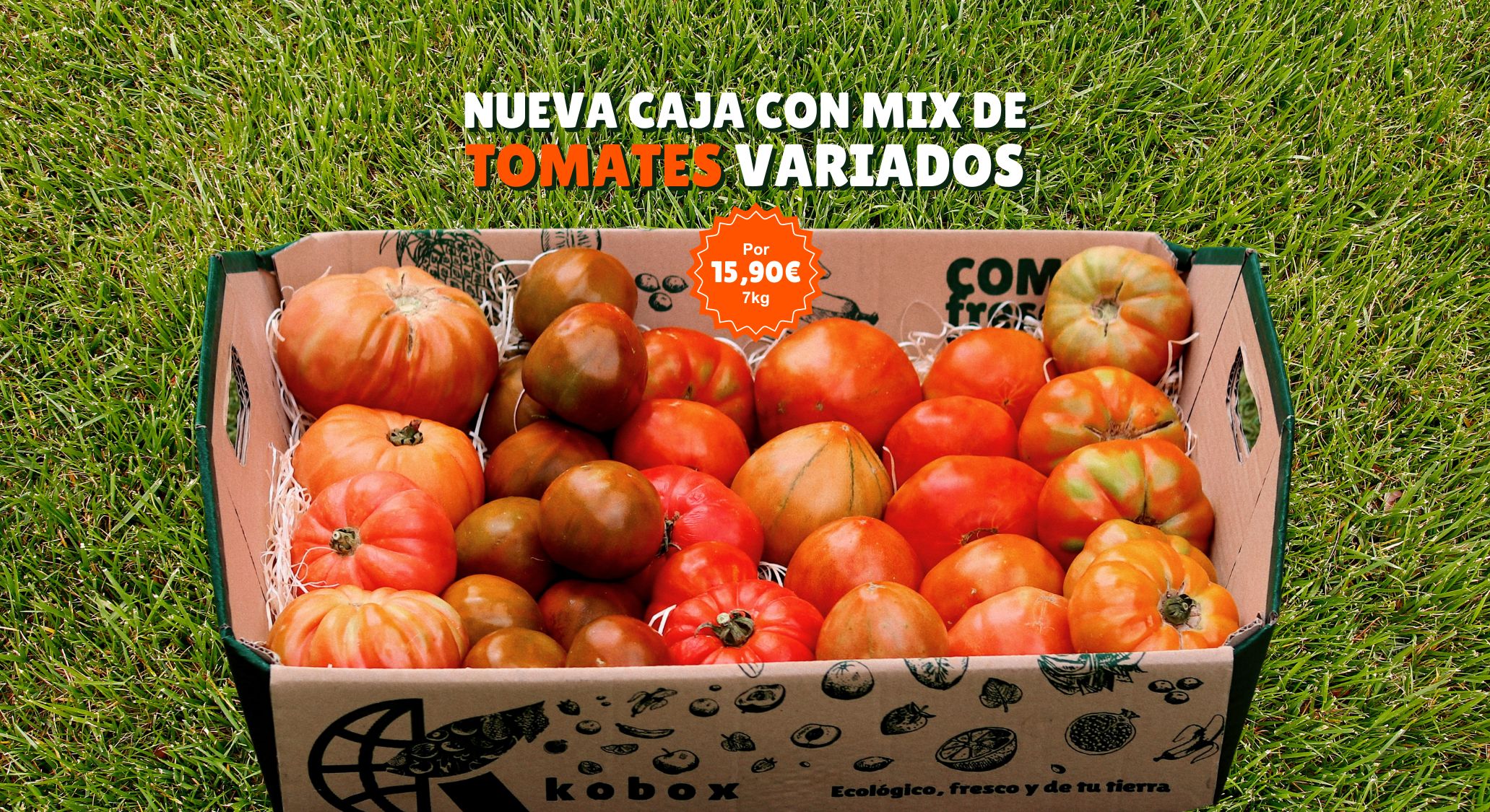 Comprar Fruta y Verdura Online en Valencia - Kobox