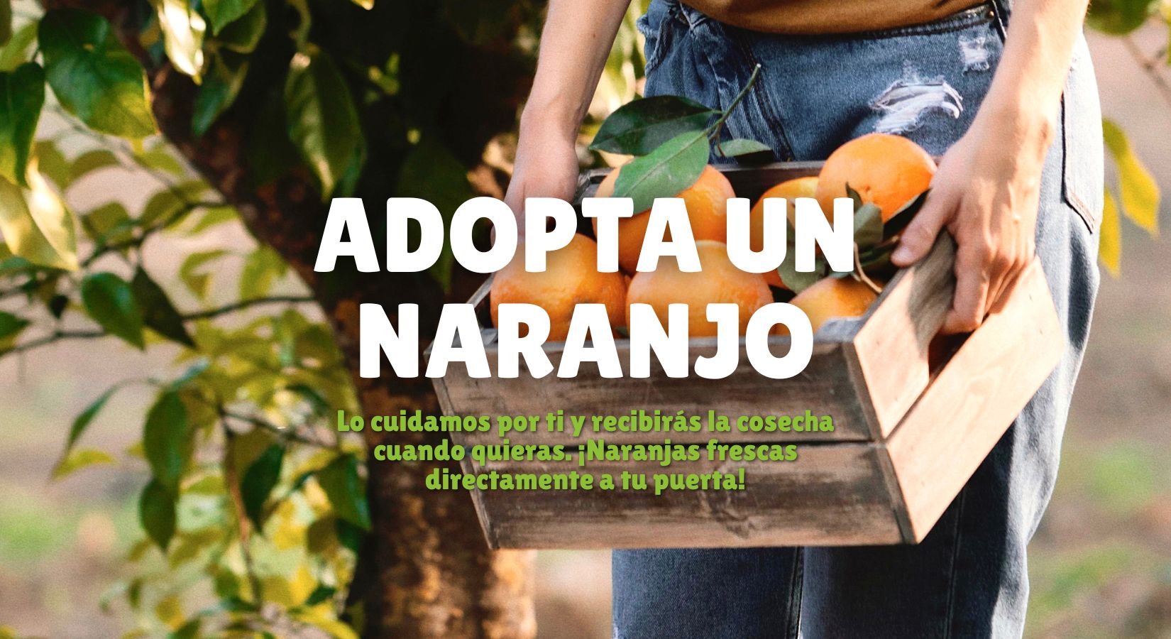 Comprar Fruta y Verdura Online en Valencia - Kobox