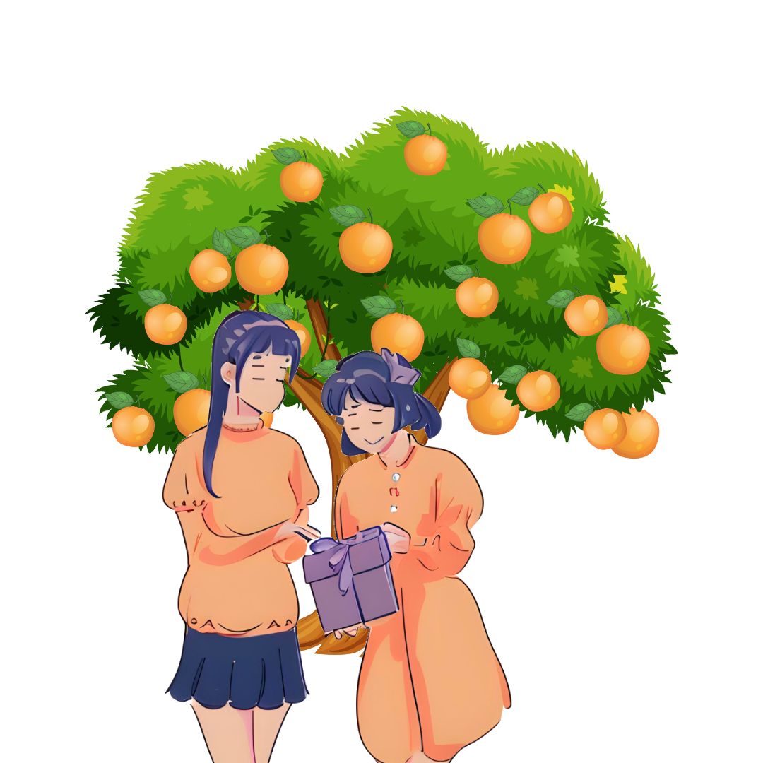 Patenschaft für einen Orangenbaum - Kobox